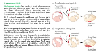 Embryonic luction induction embryonic.pptx