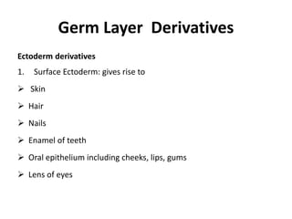 Embryonic period | PPTX