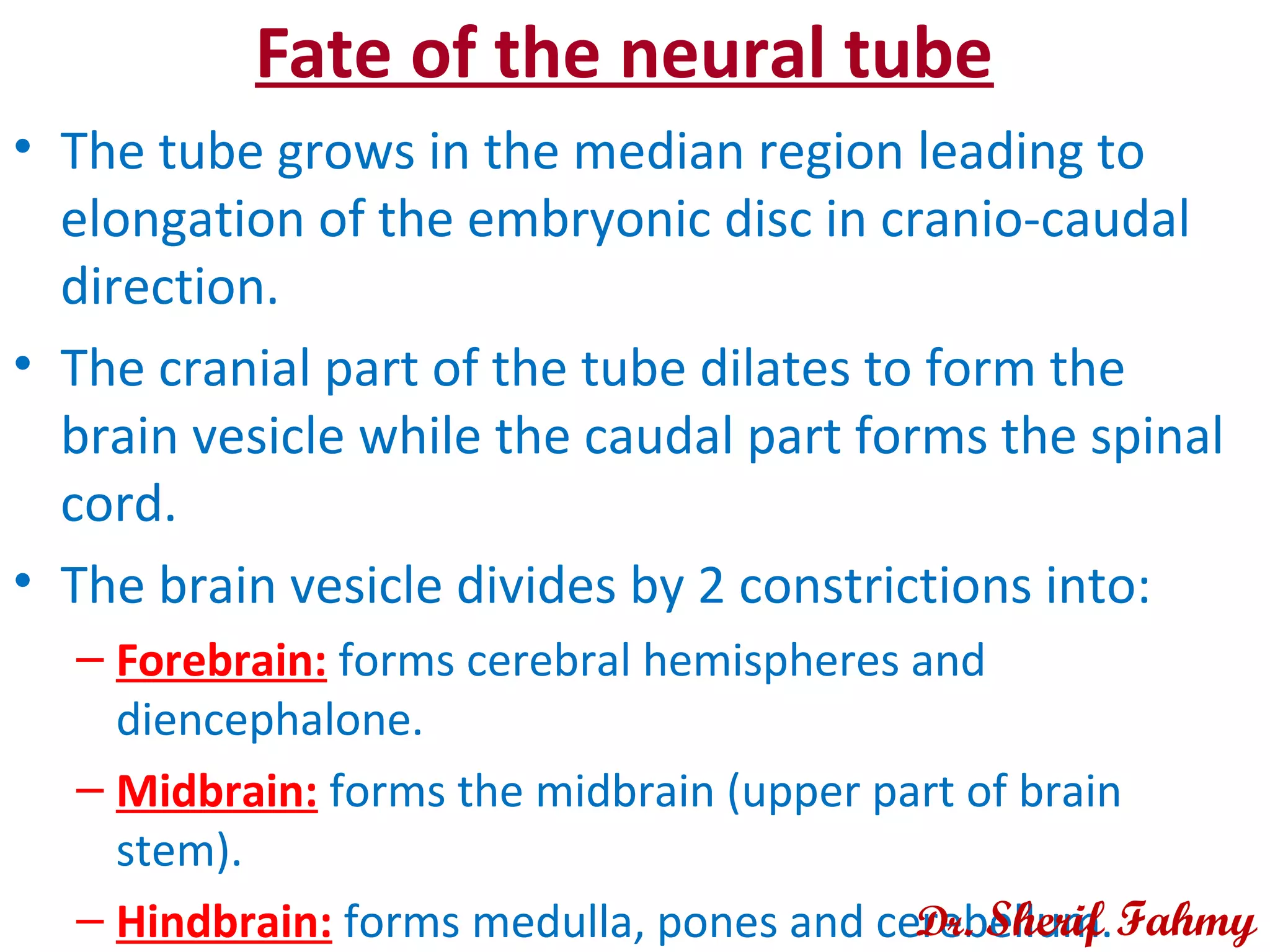 Embryonic period 4th – 8th week & Folding (General Embryology) | PPS