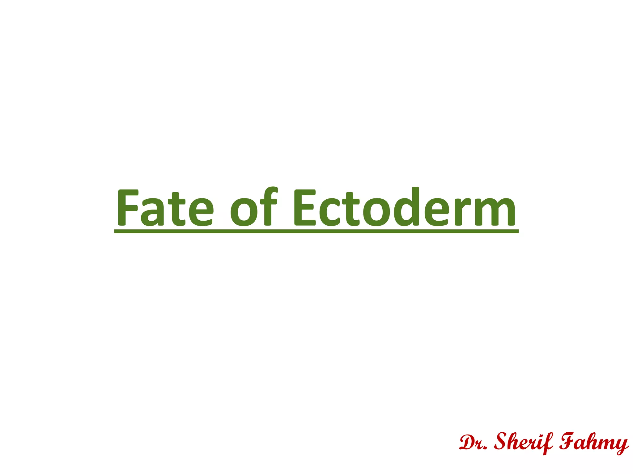 Embryonic period 4th – 8th week & Folding (General Embryology) | PPS