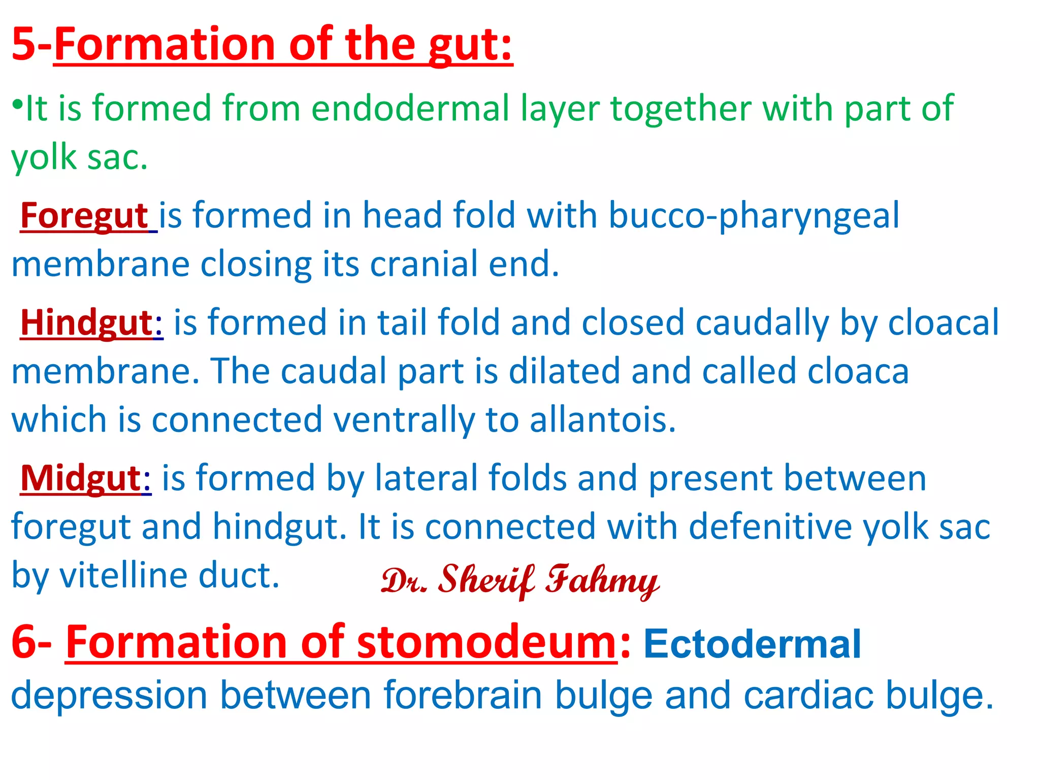 Embryonic period 4th – 8th week & Folding (General Embryology) | PPS