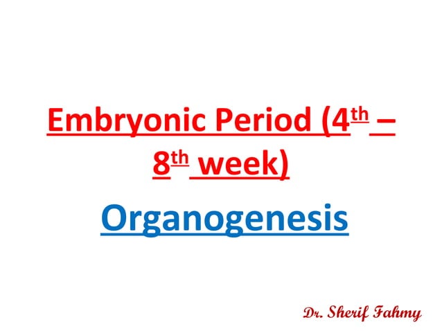 Embryonic period 4th – 8th week & Folding (General Embryology) | PPS