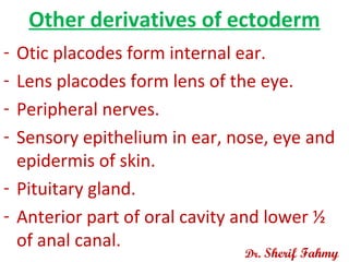Embryonic period 4th – 8th week & Folding (General Embryology) | PPS