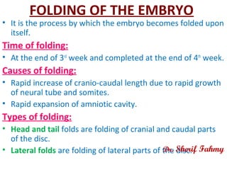Embryonic period 4th – 8th week & Folding (General Embryology) | PPS