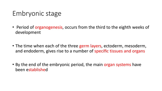 Embryonic stage | PPTX