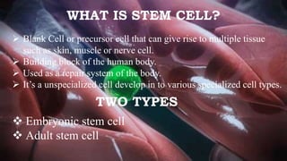 Embryonic stem cell | PPTX