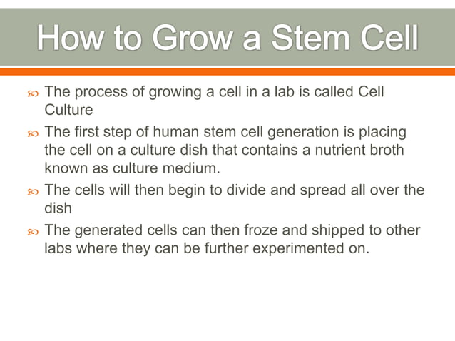Embryonic stem cell project | PPTX