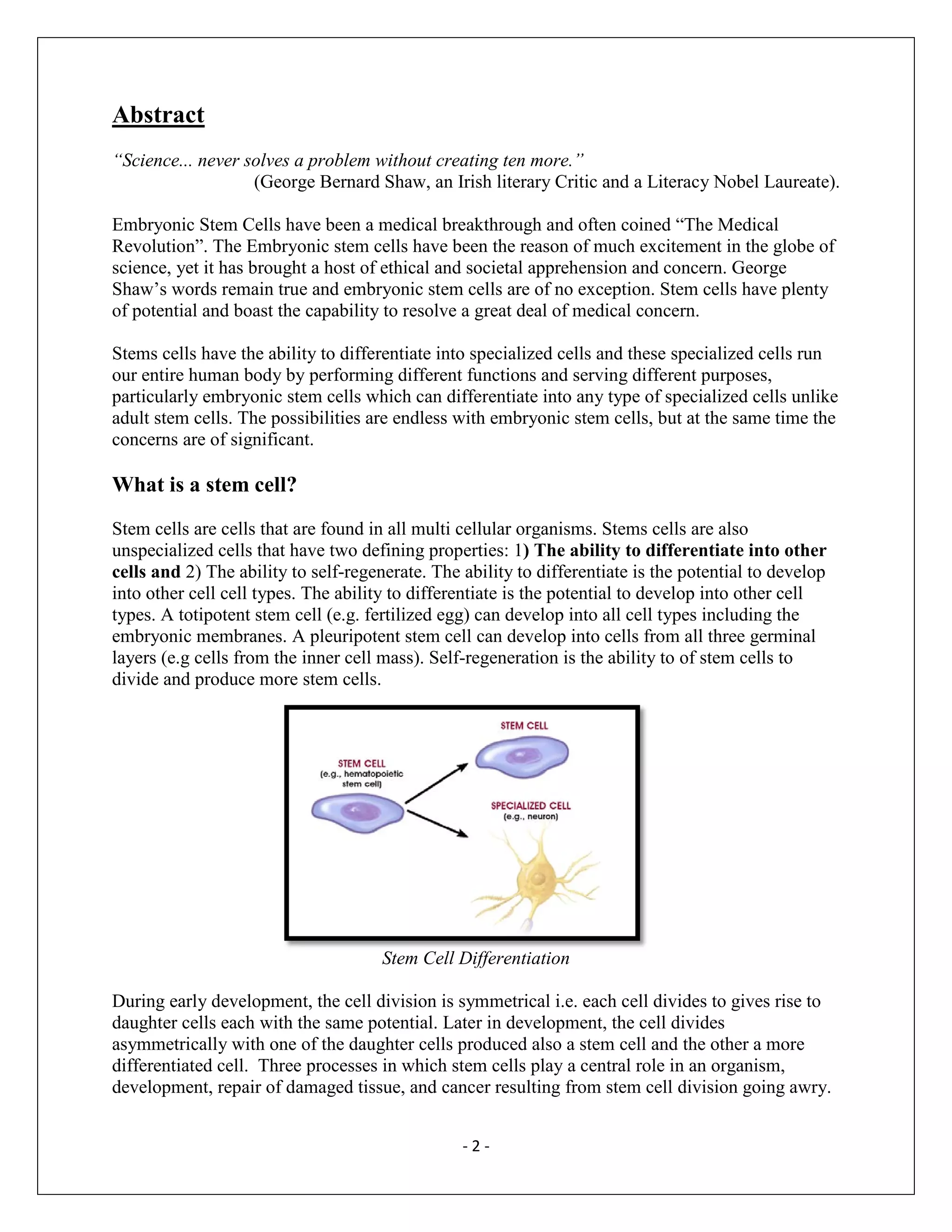 Embryonic stem cell report | PDF
