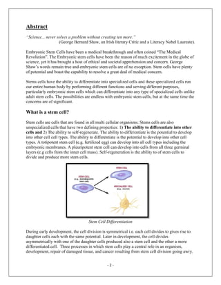Embryonic stem cell report | PDF
