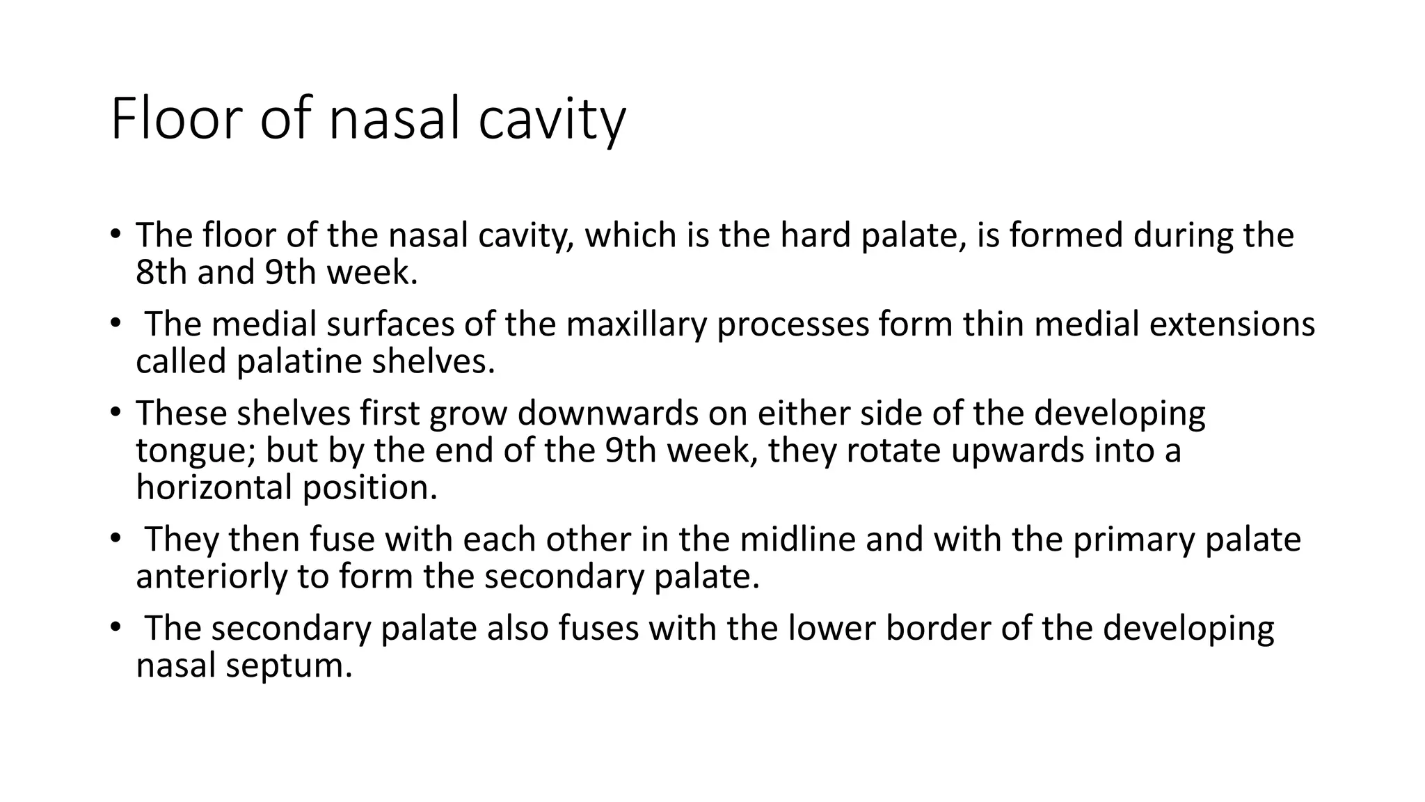 Embryo of Ear and Nose | PPTX
