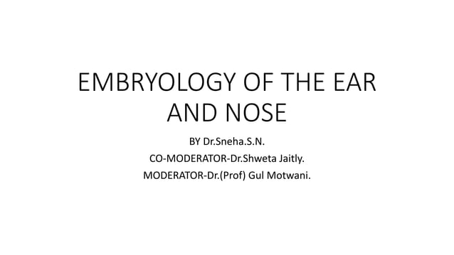 Embryo of Ear and Nose | PPT