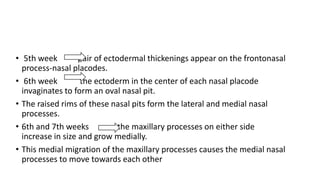 Embryo of Ear and Nose | PPTX