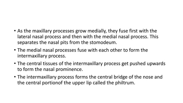 Embryo of Ear and Nose | PPT