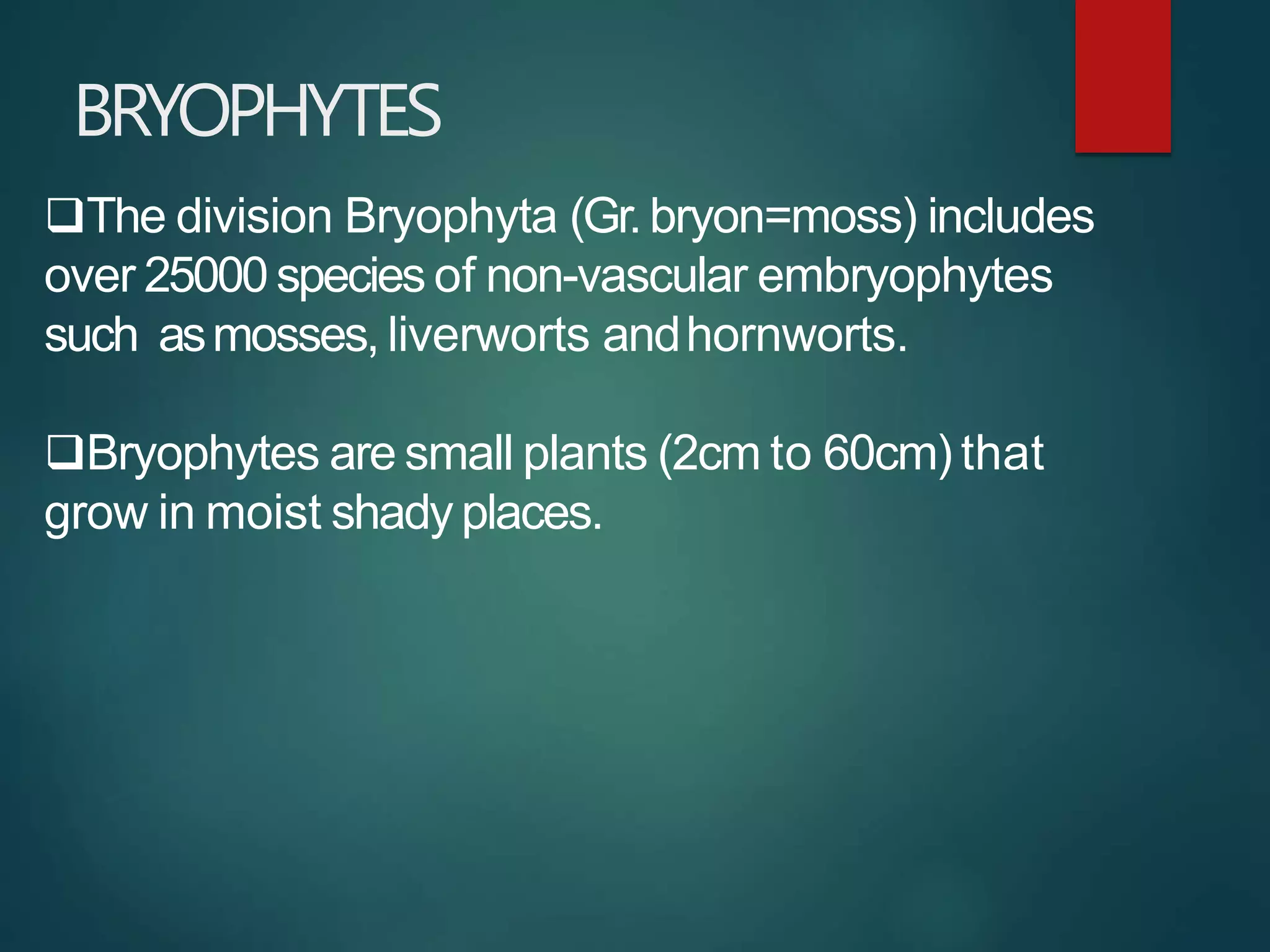 EMBRYOPHYTA.pptx