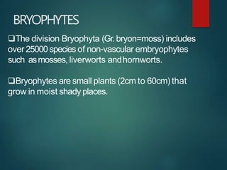 EMBRYOPHYTA.pptx