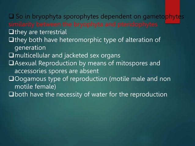 EMBRYOPHYTA.pptx