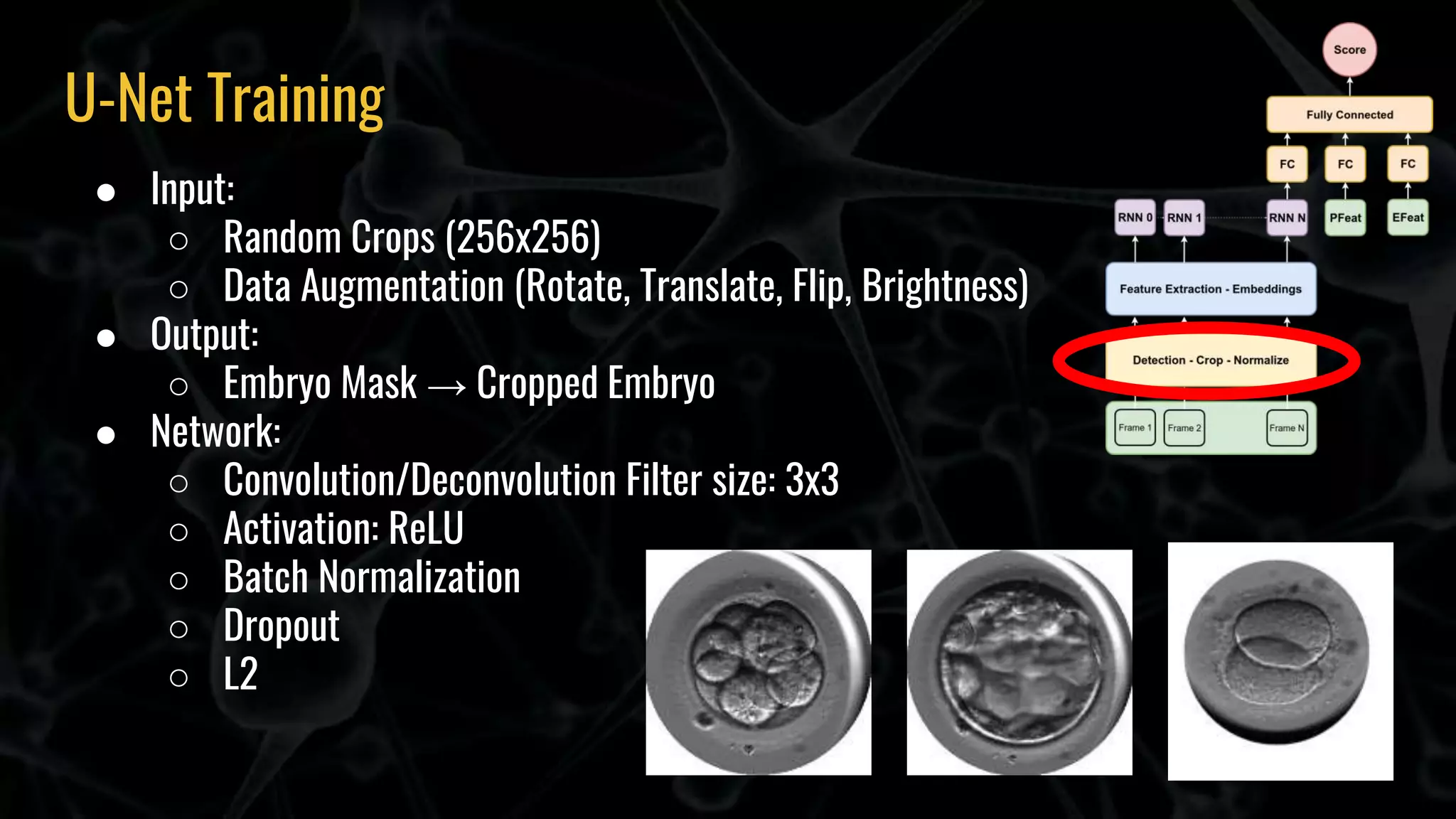 Embryo selection using AI | PPTX