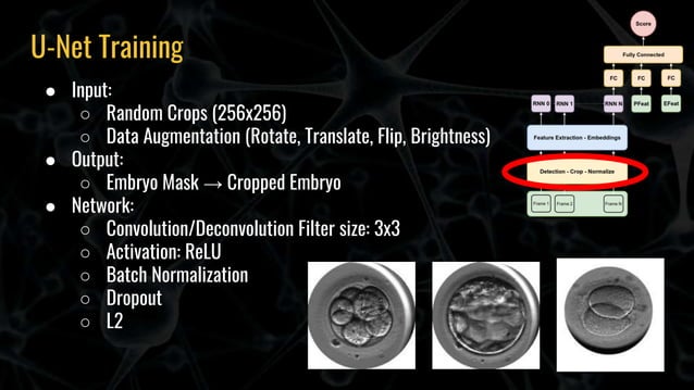 Embryo selection using AI | PPT