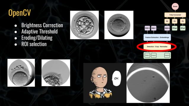 Embryo selection using AI | PPT