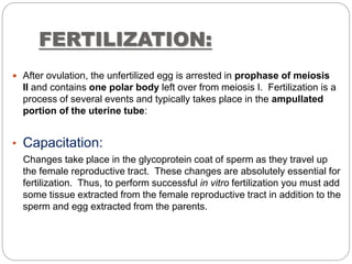 Embryo 1st week | PPTX