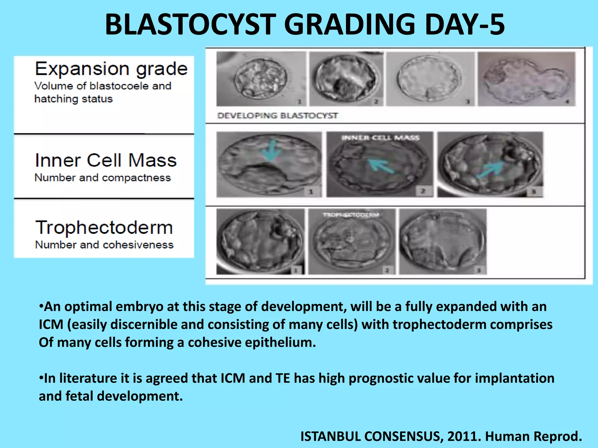 EMBRYO QUALITY ASSESSMENT, WHICH TO SELECT? | PDF