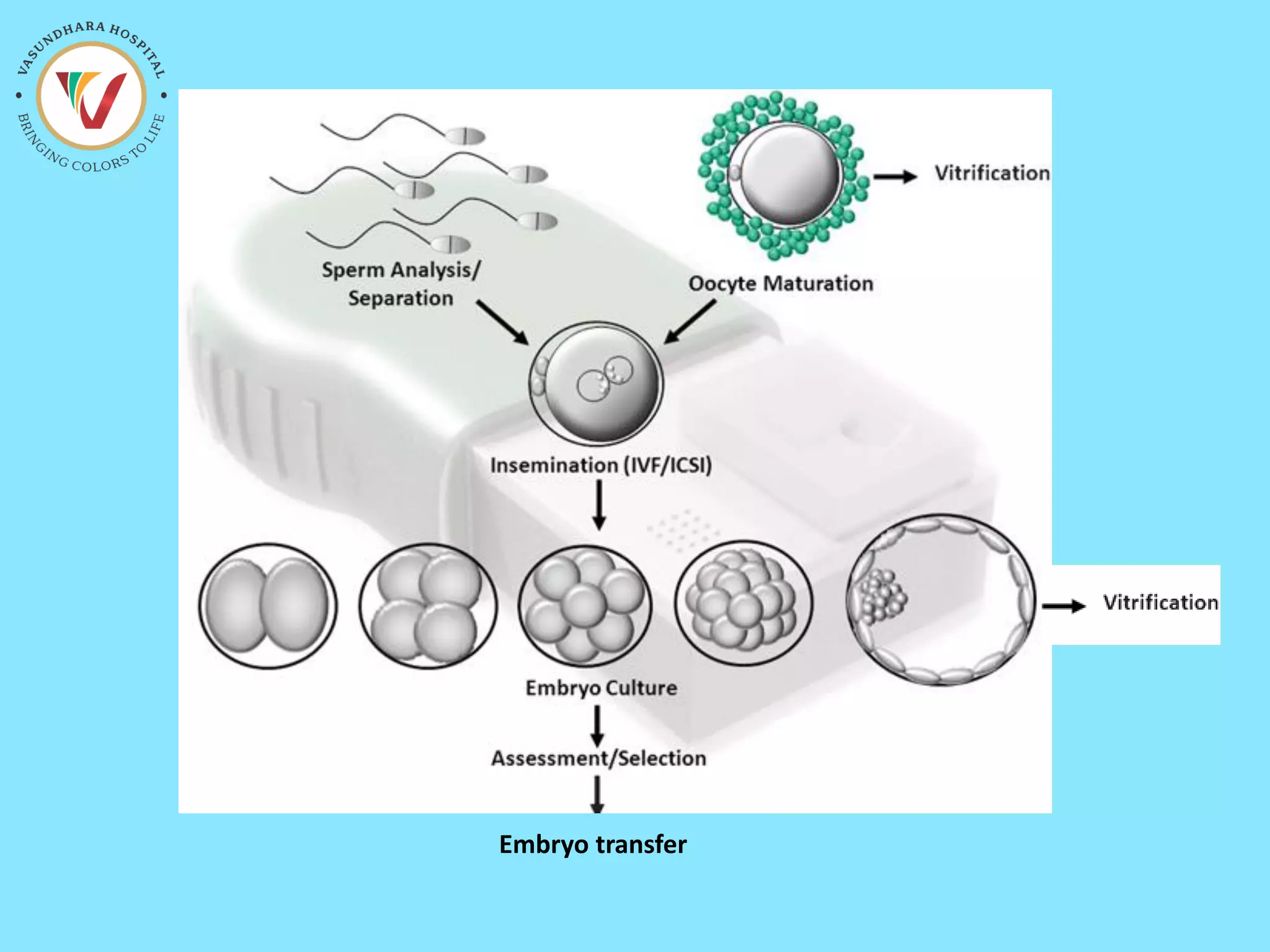 EMBRYO QUALITY ASSESSMENT, WHICH TO SELECT? | PDF