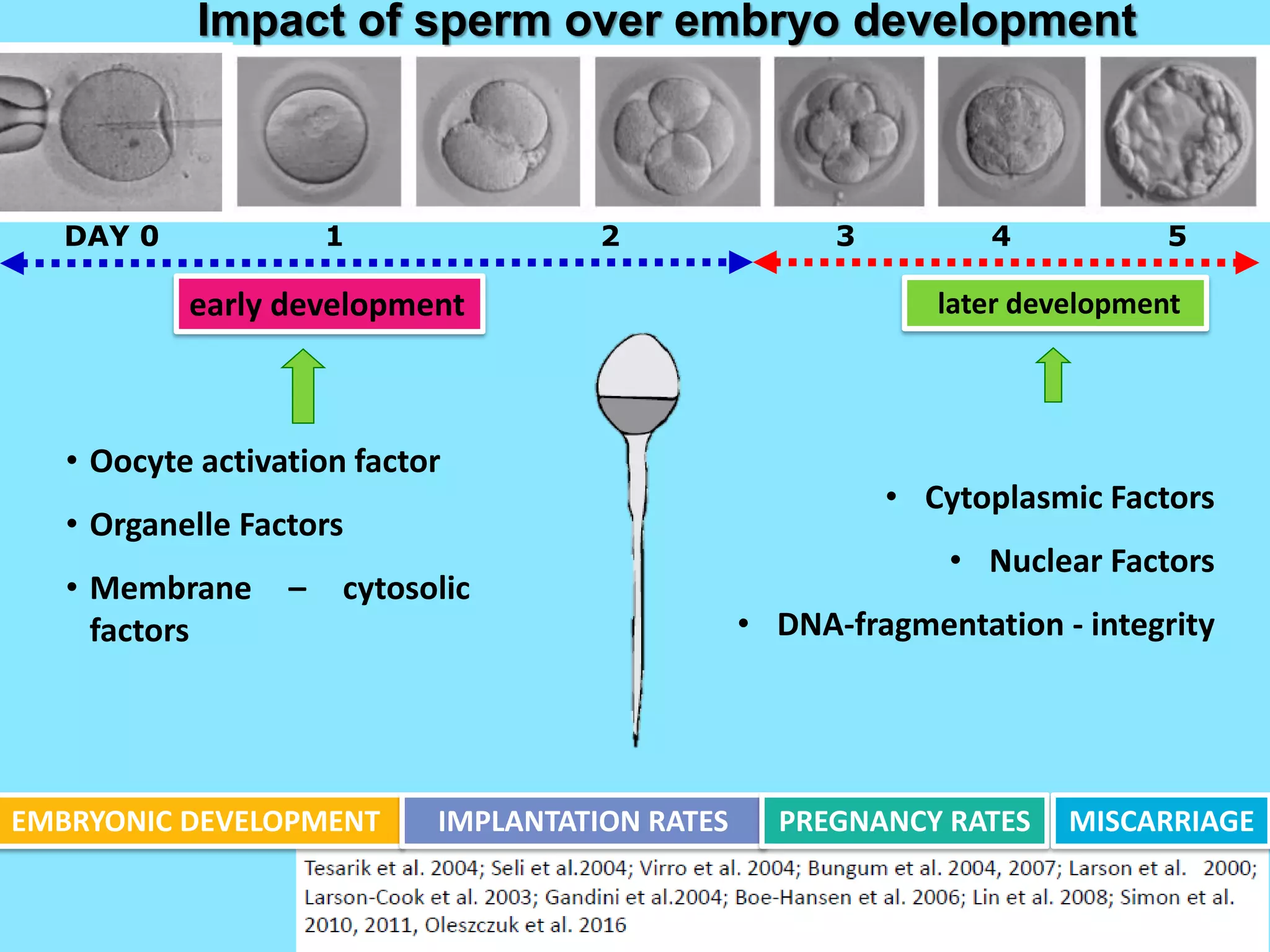 EMBRYO QUALITY ASSESSMENT, WHICH TO SELECT? | PDF