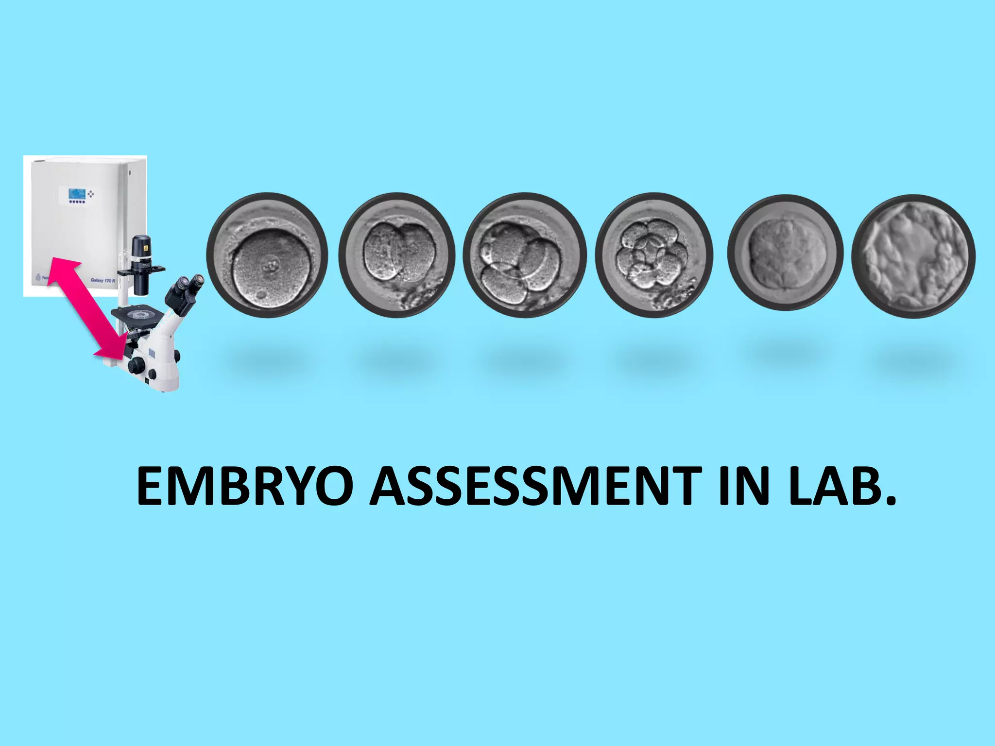 EMBRYO QUALITY ASSESSMENT, WHICH TO SELECT? | PDF