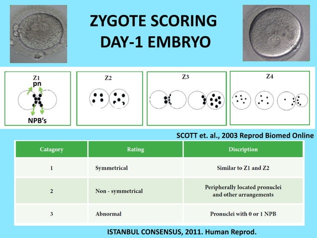 EMBRYO QUALITY ASSESSMENT, WHICH TO SELECT? | PDF