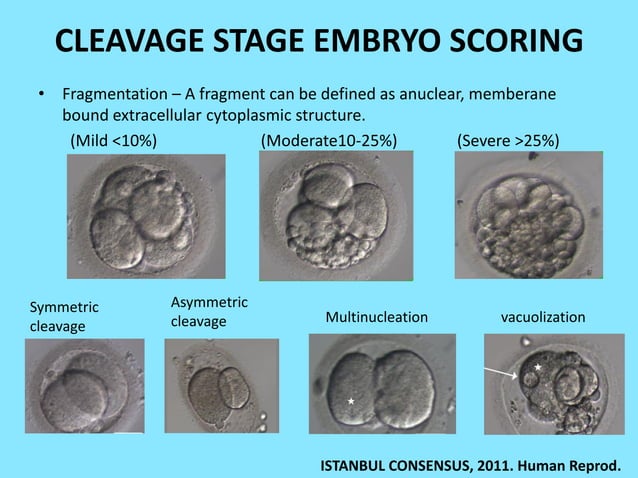 EMBRYO QUALITY ASSESSMENT, WHICH TO SELECT? | PDF