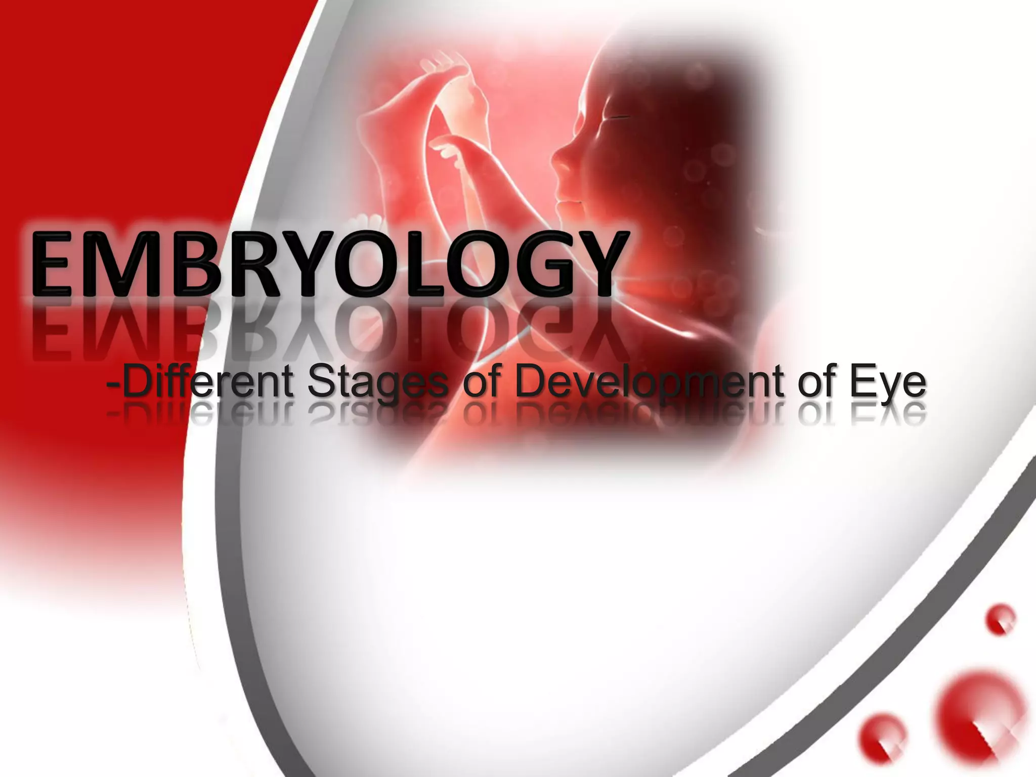 Ocular Embryology | PDF