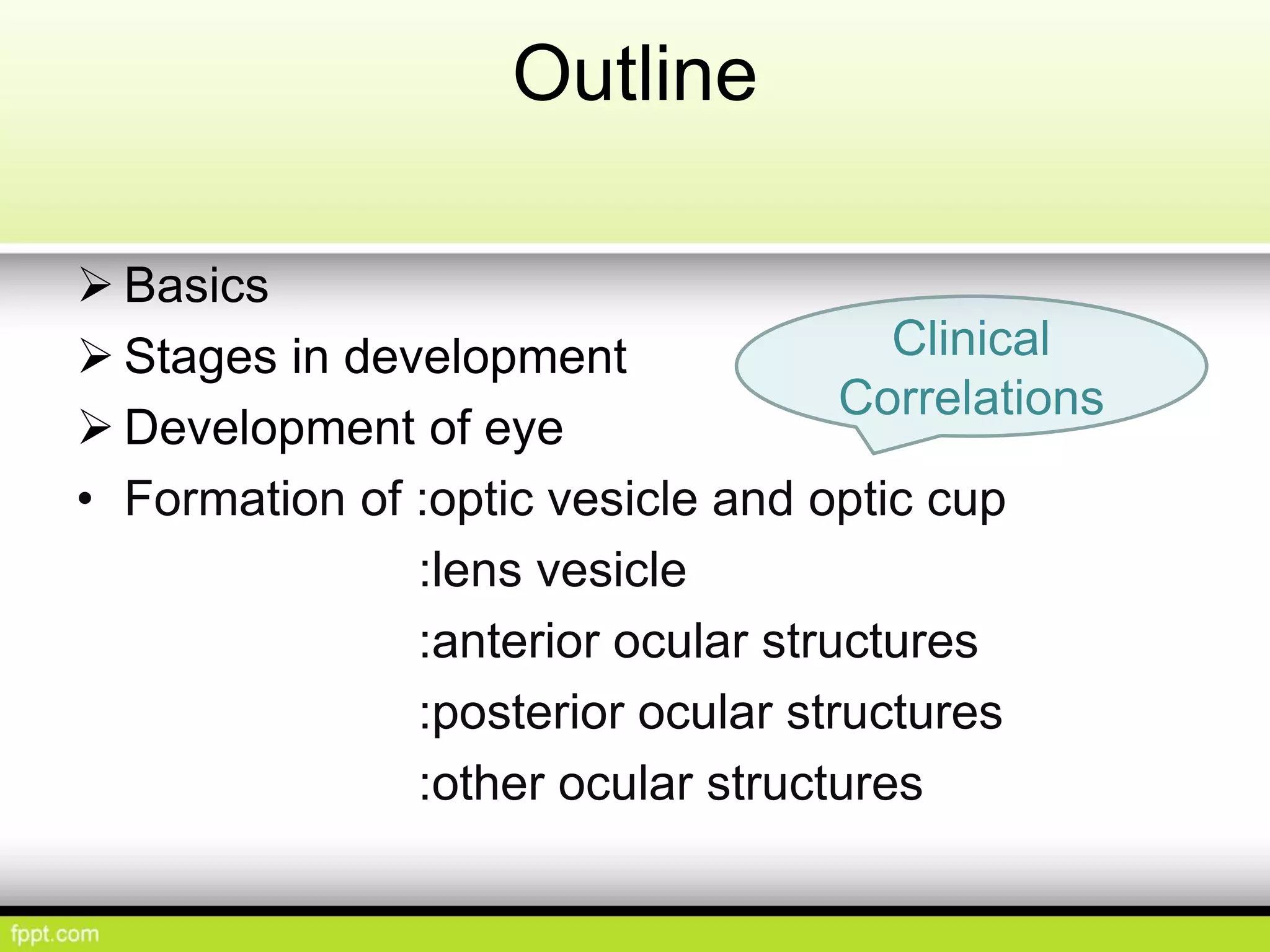 Ocular Embryology | PDF