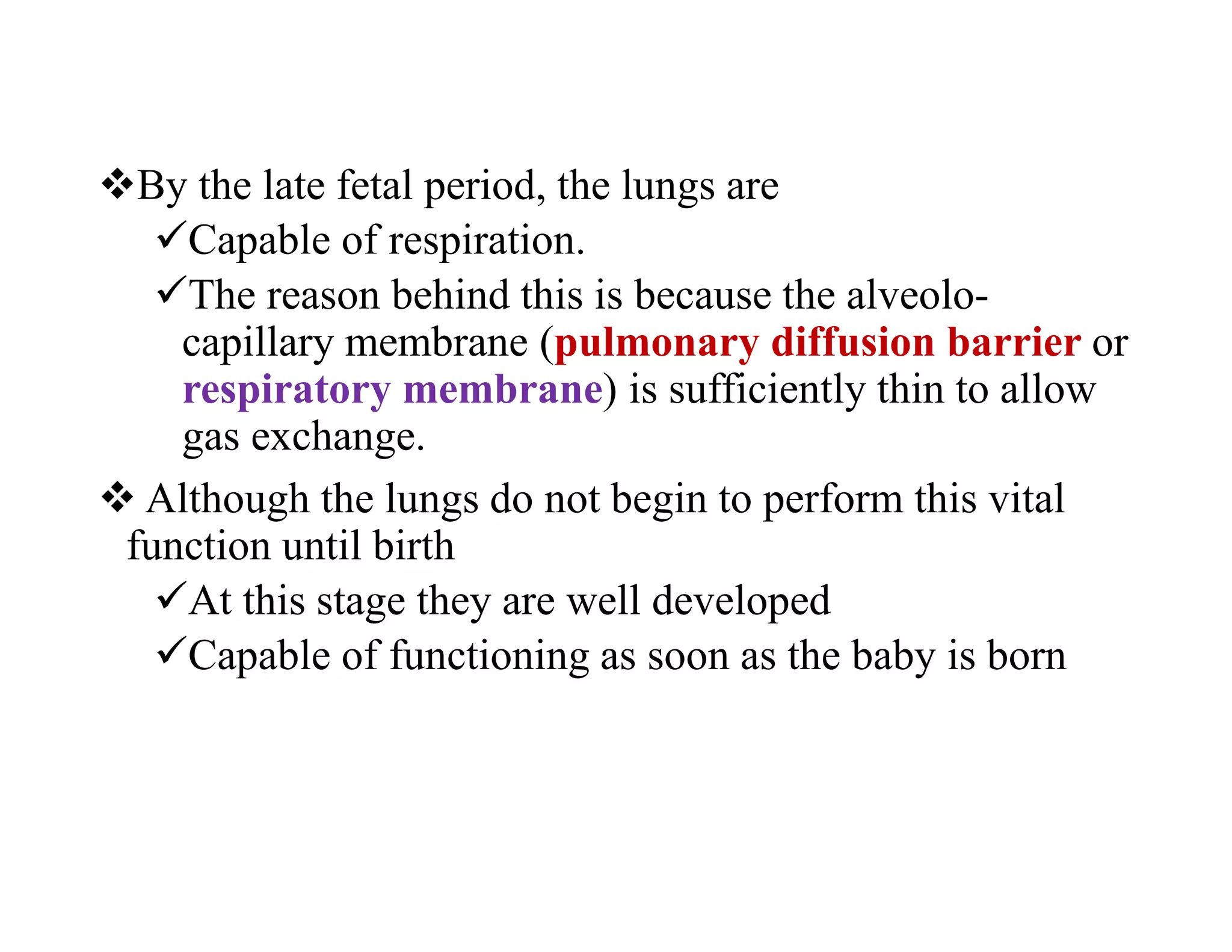 embryo respiratory4.pdf