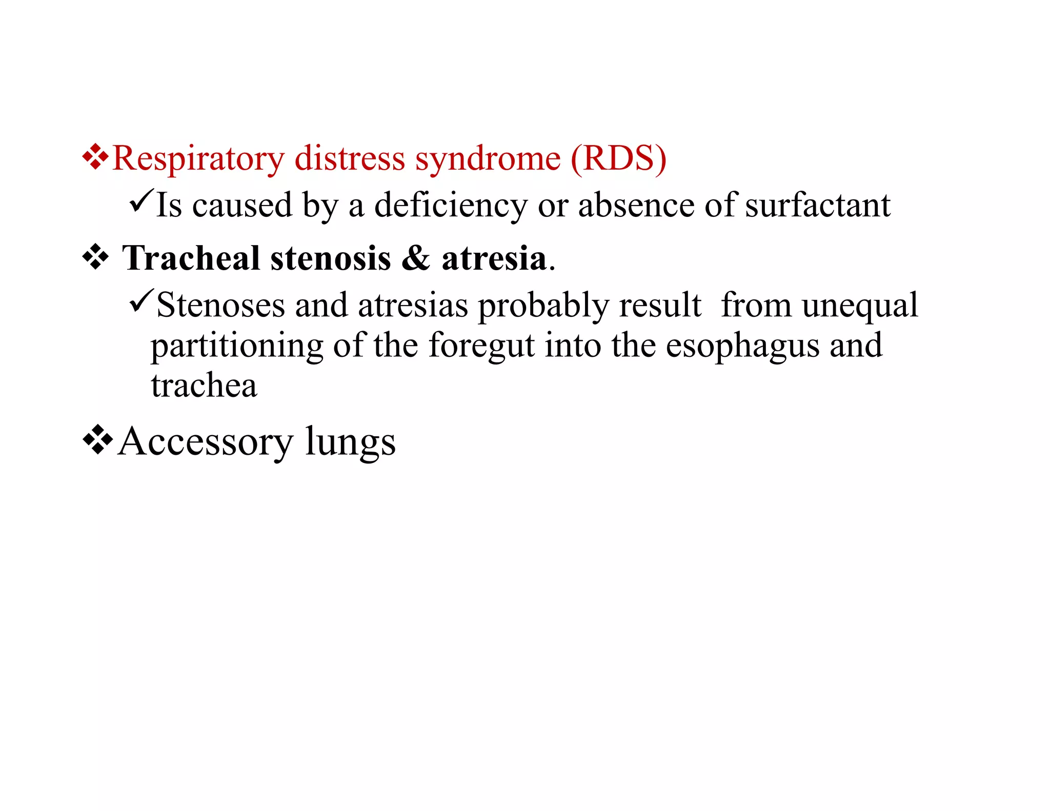 embryo respiratory4.pdf
