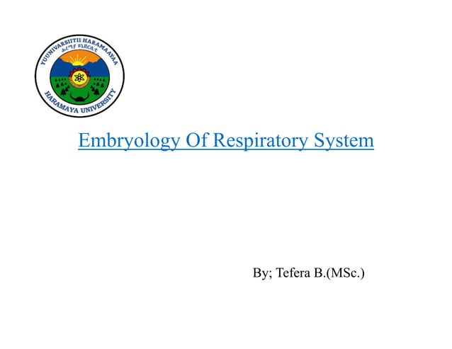 embryo respiratory4.pdf