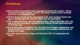 EMBRYO SAC DEVE-WPS Office.pptx