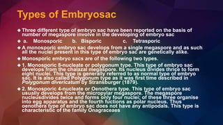 EMBRYO SAC DEVE-WPS Office.pptx