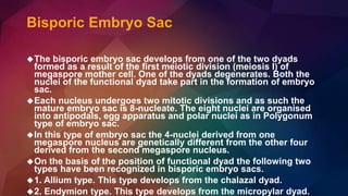 EMBRYO SAC DEVE-WPS Office.pptx