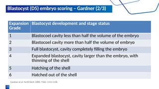Embryo scoring stage wise gametes ....... | PPTX