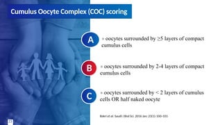 Embryo scoring stage wise gametes ....... | PPTX