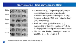 Embryo scoring stage wise gametes ....... | PPTX