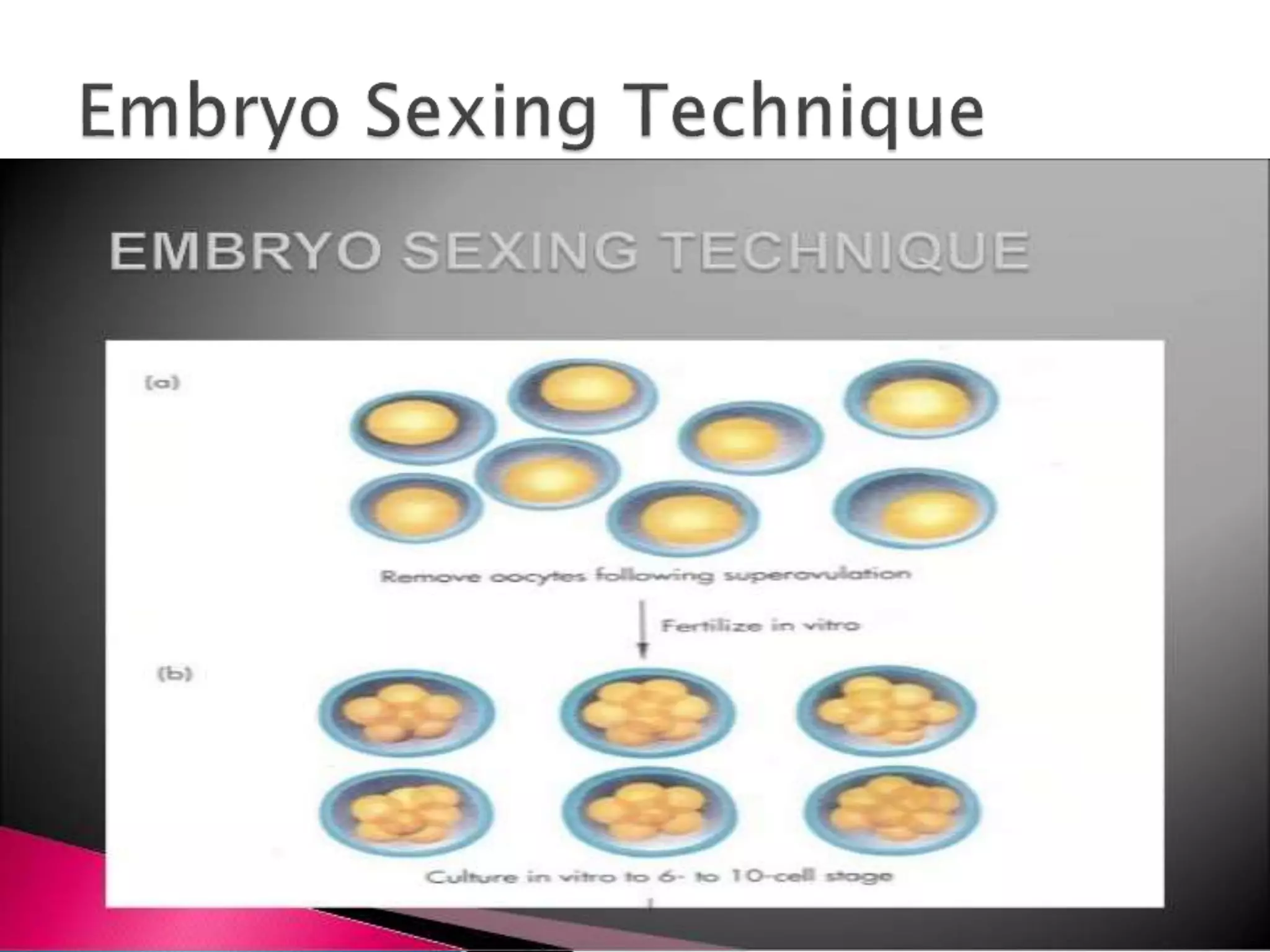 Embryo sexing | PPTX