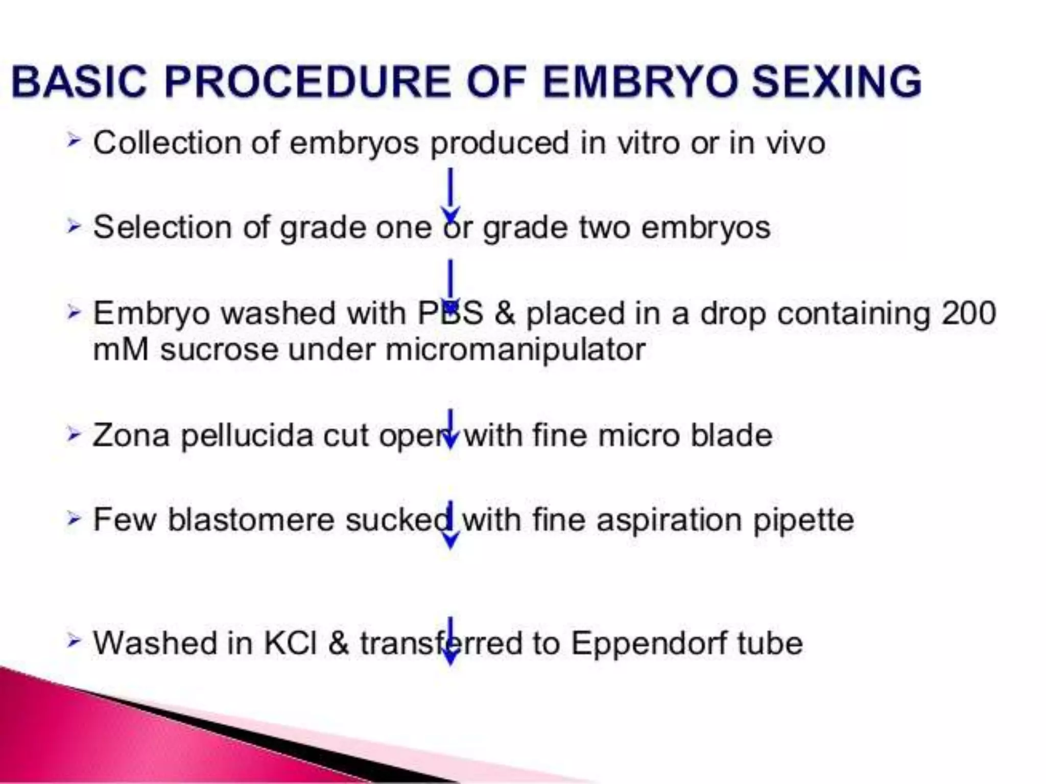 Embryo sexing | PPTX