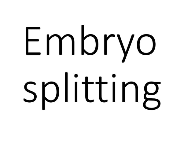 Embryo splitting | PPTX