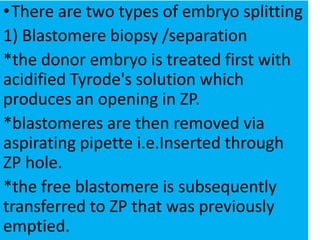 Embryo splitting | PPTX