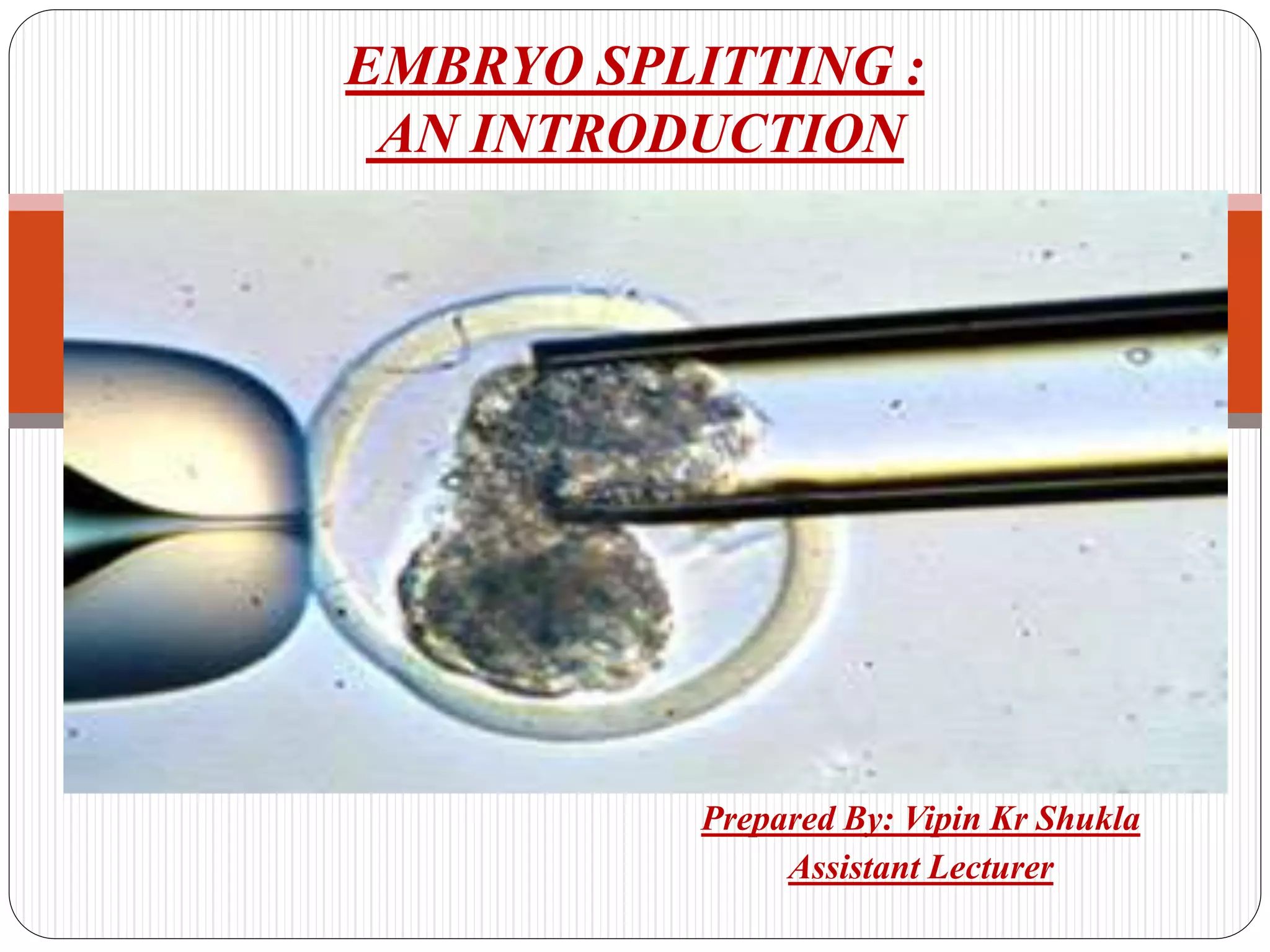 Embryo splitting | PPTX