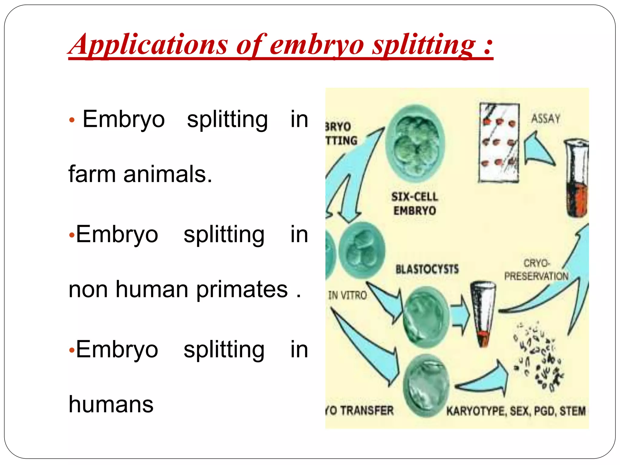 Embryo splitting | PPTX