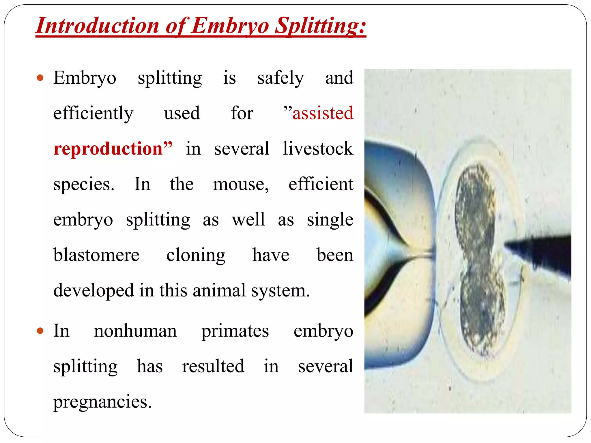 Embryo splitting | PPTX