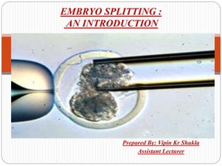 Embryo splitting | PPTX