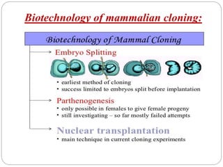 Embryo splitting | PPTX